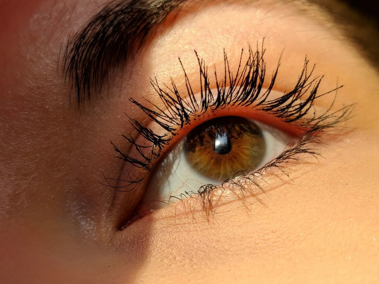 Why do we have eyelashes? – You & Eye by Dr. Nicky